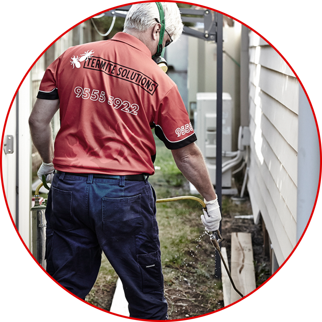 Termite Treatment - Termite Solutions Victoria