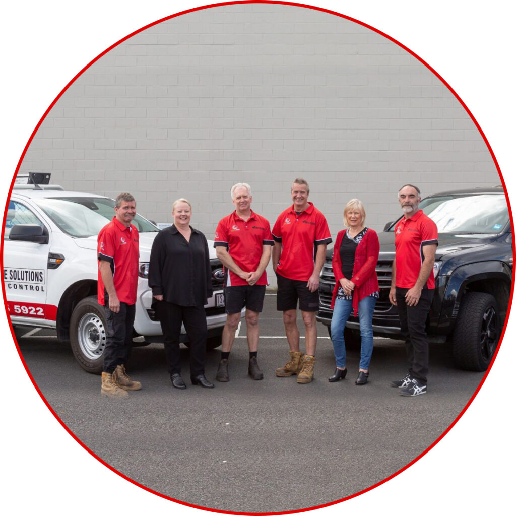 About Us - Termite Solutions Victoria